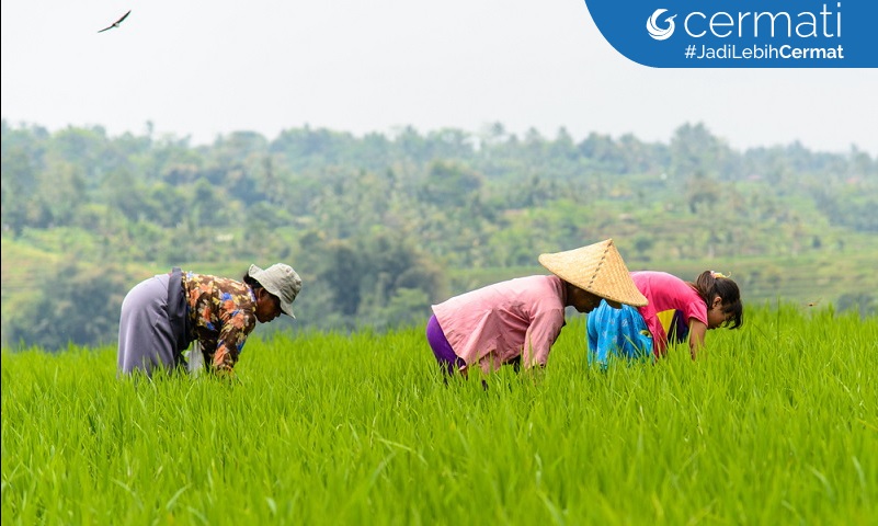 Kumpulan Materi Pertanian Paket Lengkap Terbaru Kumpulan Materi Pertanian Paket Lengkap Terbaru